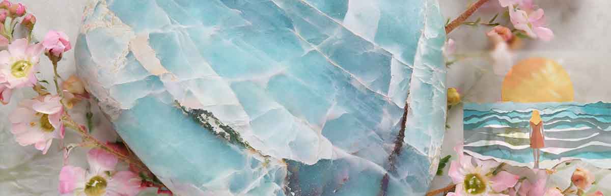 Flower Essences For Trauma Healing | Flower Essence Blog